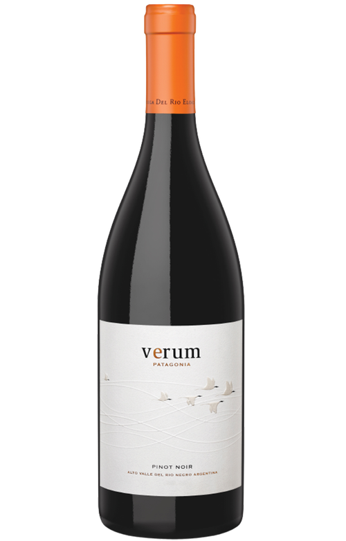 2019 Bodega del Rio Elorza Verum Pinot Noir Alto Valley del Rio Negro ...