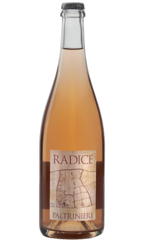 2021 Paltrinieri Radice Lambrusco di Sorbara